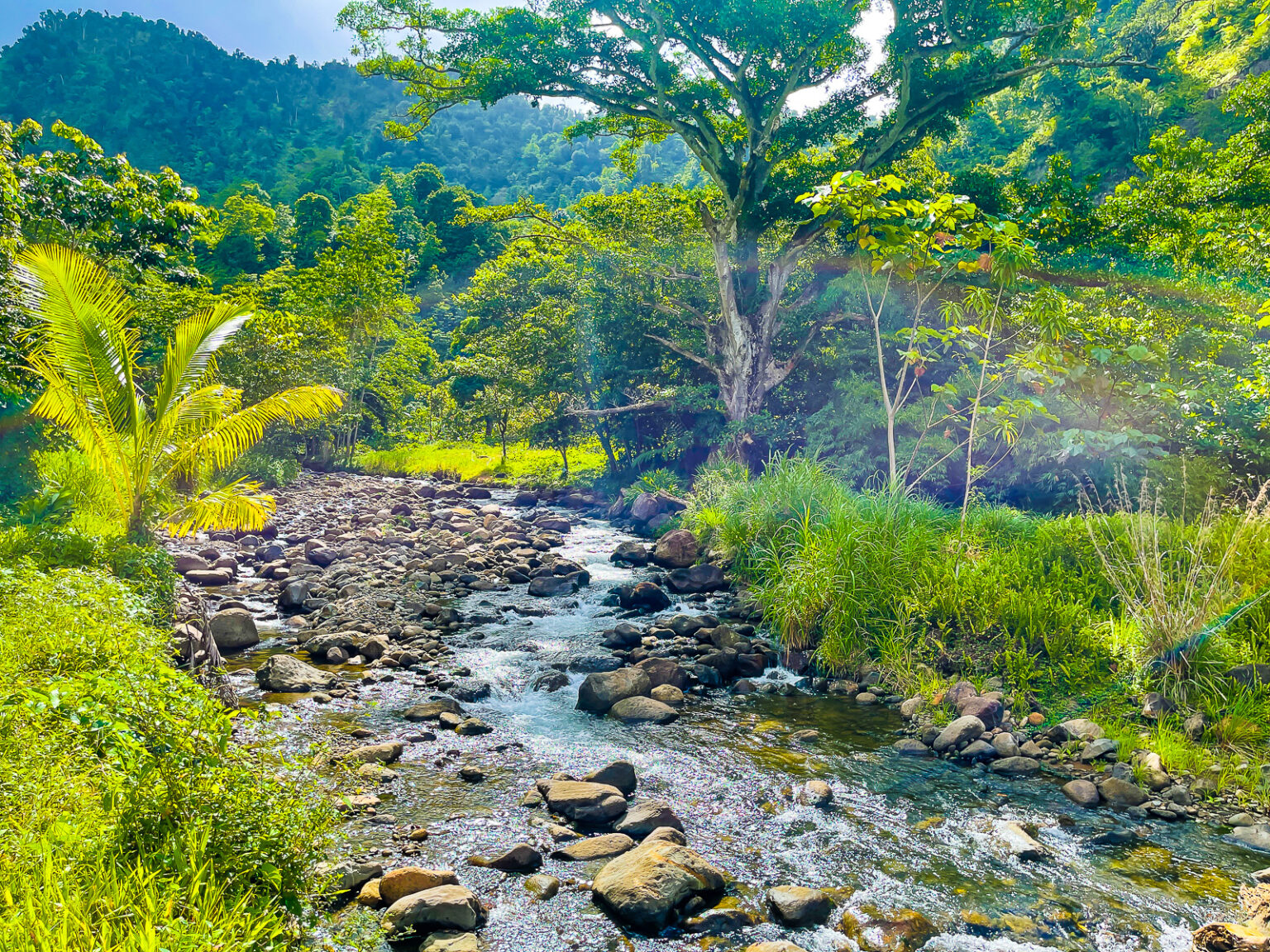 20 Things to do in Dominica in 2026 - Jet Set Jazzmine