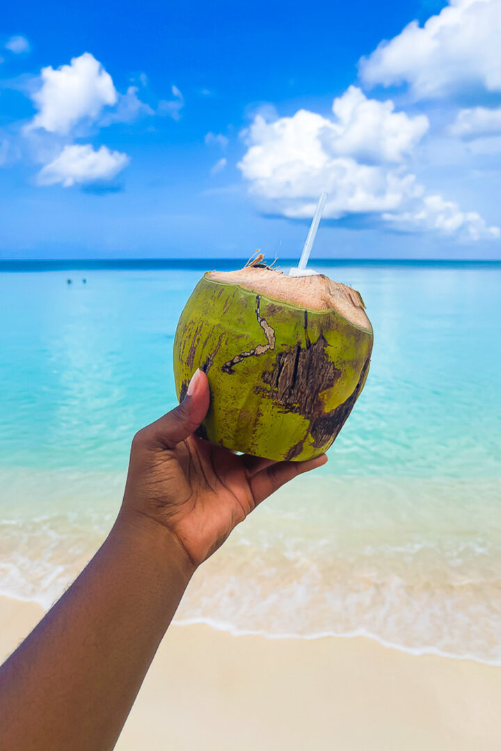 20 Things to do in Dominica in 2026 - Jet Set Jazzmine